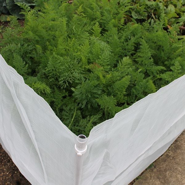 Carrot Fly Netting Protection Kits Gardening Naturally