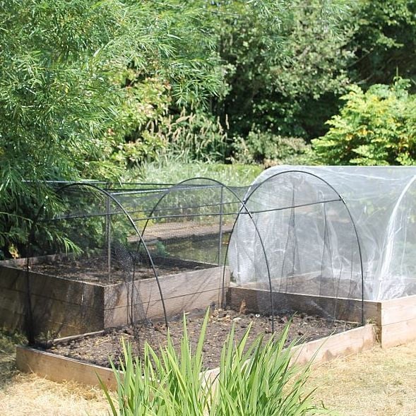 Cedar Raised Beds for Natural Veg Growing – Gardening Naturally