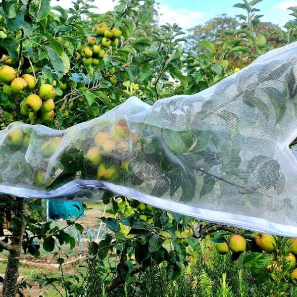Fruit Protection Gardening Naturally
