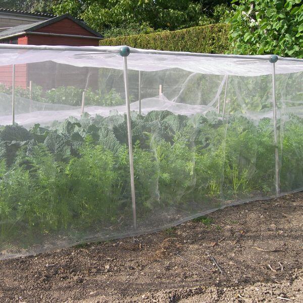 Fruit and Vegetables Cages 4ft 1.2m High – Gardening Naturally