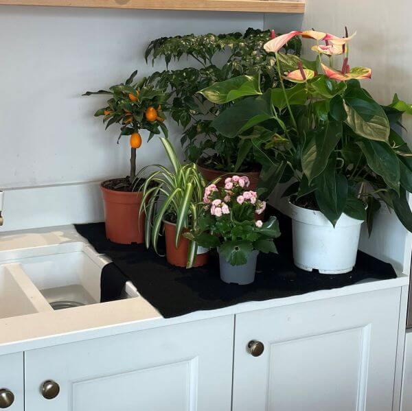 Professional Grade Capillary Matting - Gardening Naturally