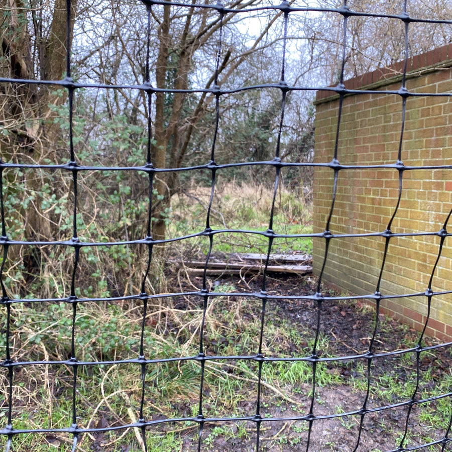 Garden Netting: Pest & Bird Protection – Gardening Naturally