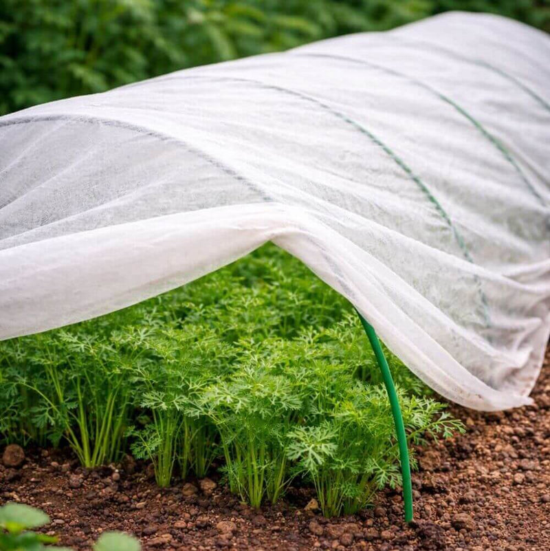 Biofleece - Biodegradable Frost protection Netting – Gardening Naturally