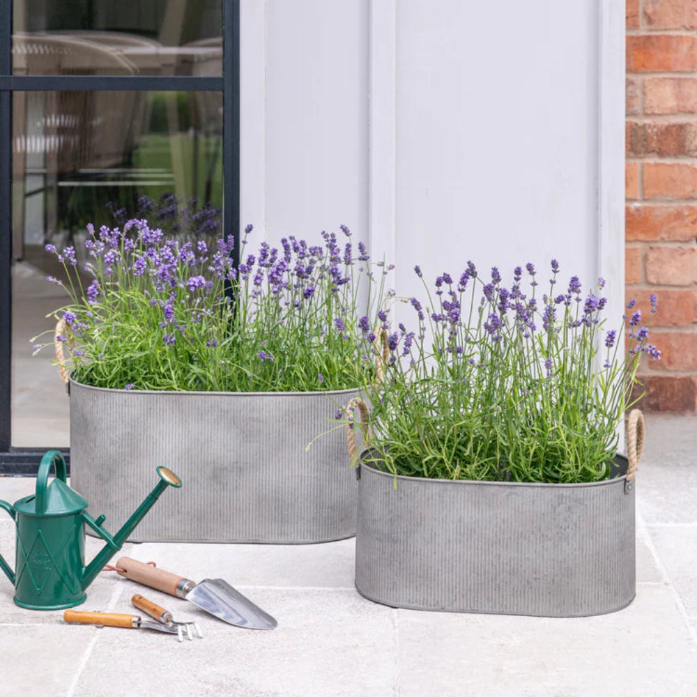 Galvanised Steel Plant Pots And Troughs With Handles – Gardening Naturally