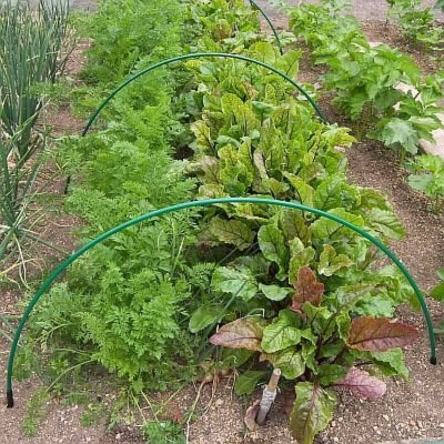 Garden Hoops & Tunnels for Crop Protection - Gardening Naturally