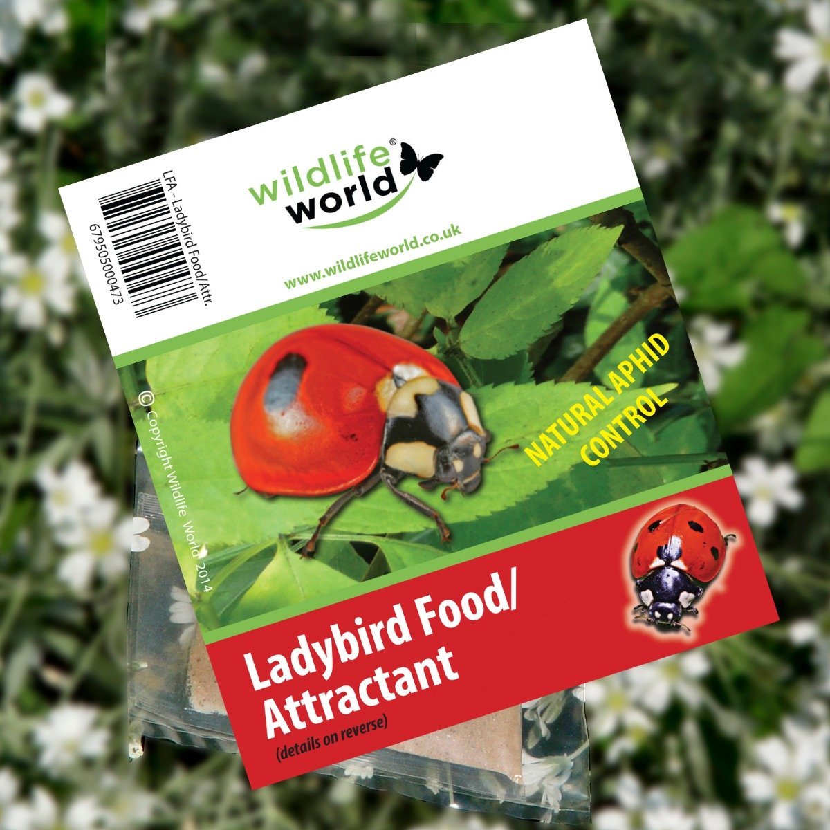 Buy Ladybird Food for Hungry Ladybirds - Gardening Naturally