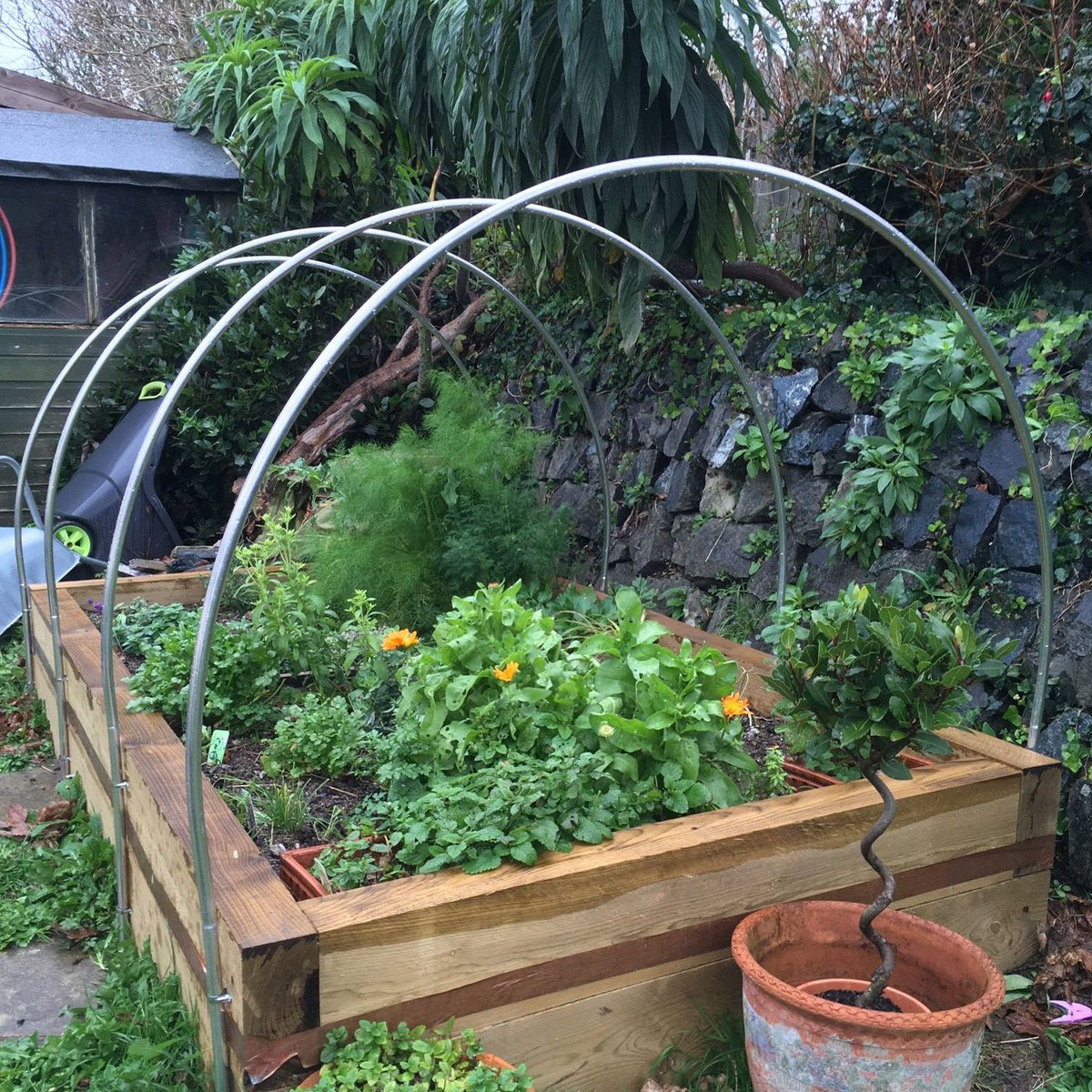 Garden Hoops & Tunnels for Crop Protection - Gardening Naturally