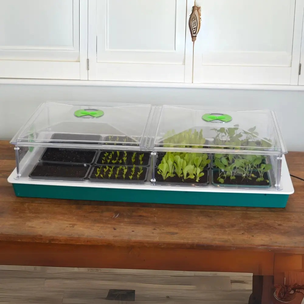 Vitopod Electric Propagator - Pro Seed Starter – Gardening Naturally