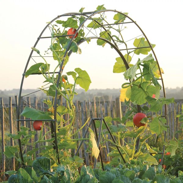 London Eye Decorative Plant Frame – Gardening Naturally