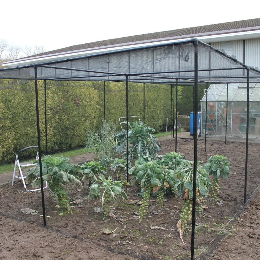 Premium Walk-In Garden Cages – Gardening Naturally