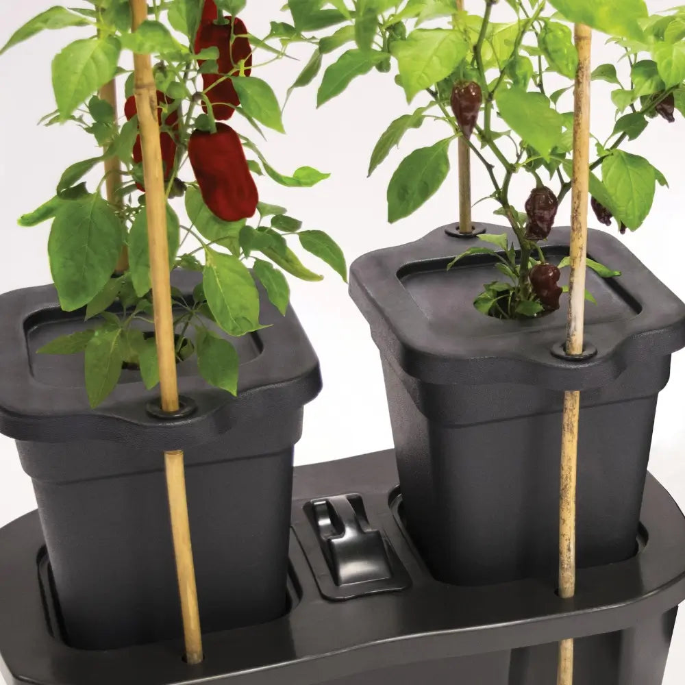 Quad Grow Mulch Caps - Set of 4 – Gardening Naturally