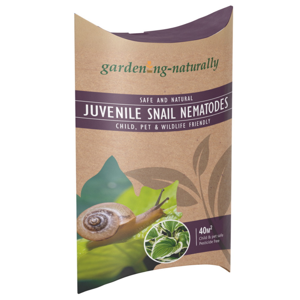 Snail Nematodes 40sqm | Natural Snail Control UK – Gardening Naturally