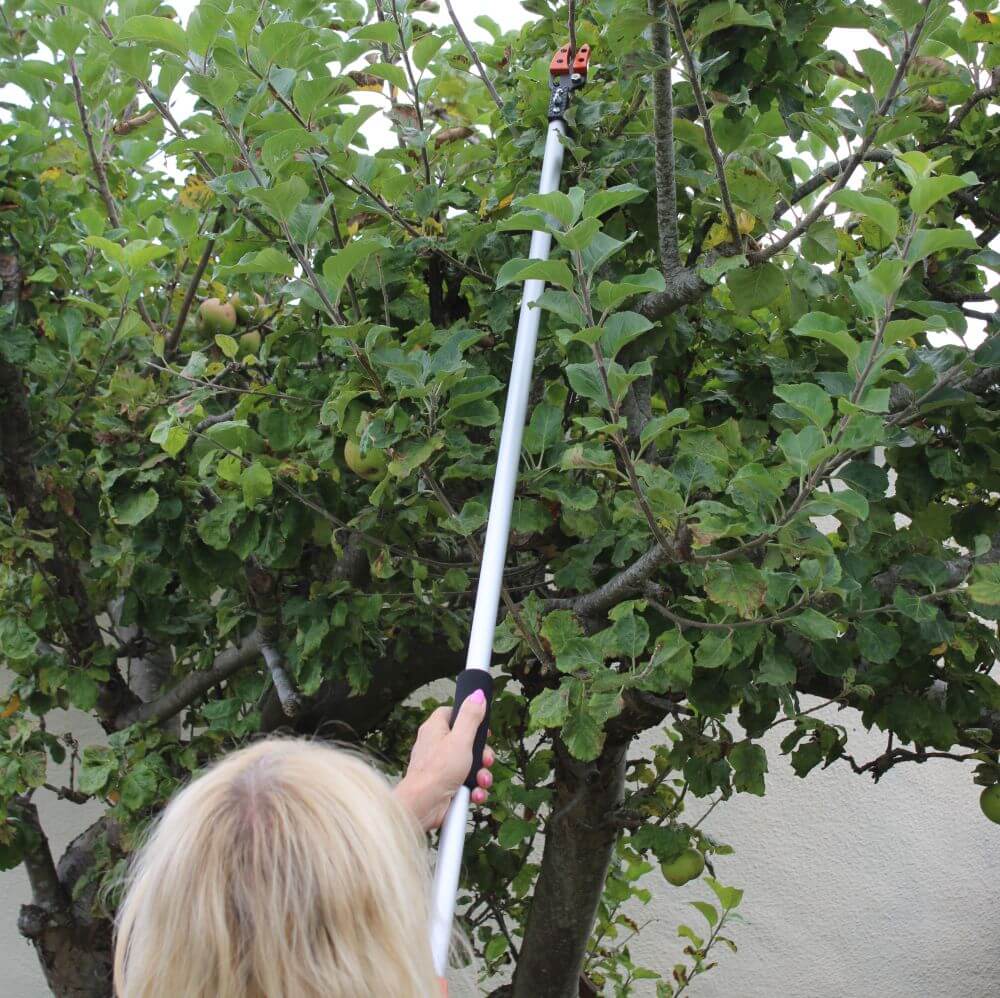 Tree Pruner Telescopic With Blade & Saw - Long Handle – Gardening Naturally