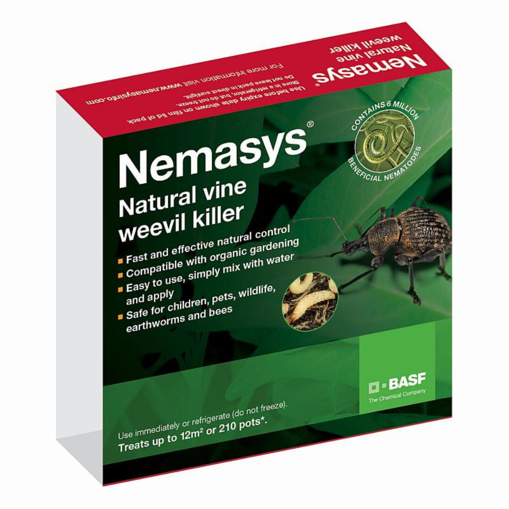 Vine Weevil Nematodes - 12 sqm Coverage – Gardening Naturally