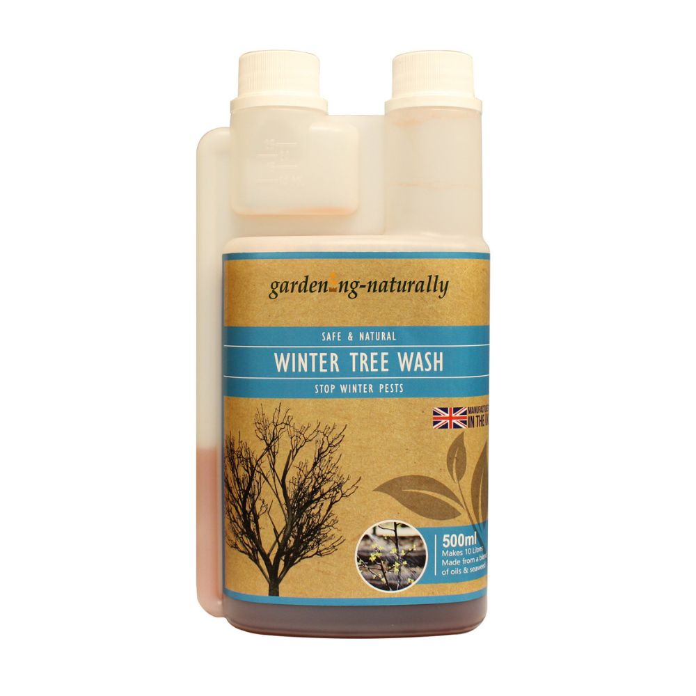 Winter Tree Wash For Fruit Trees - Gardening Naturally