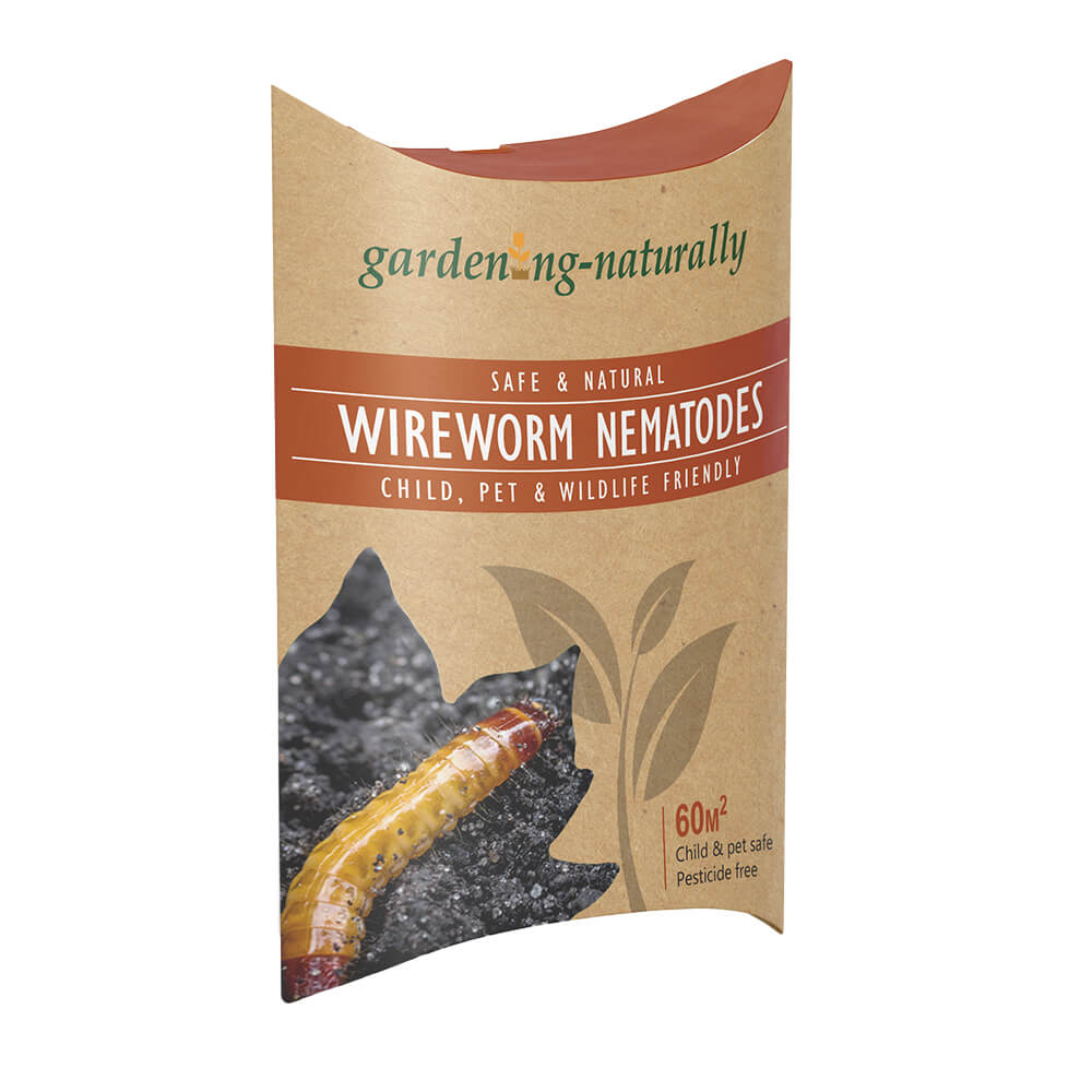 Wireworm Nematodes for Natural Lawn Pest Control – Gardening Naturally